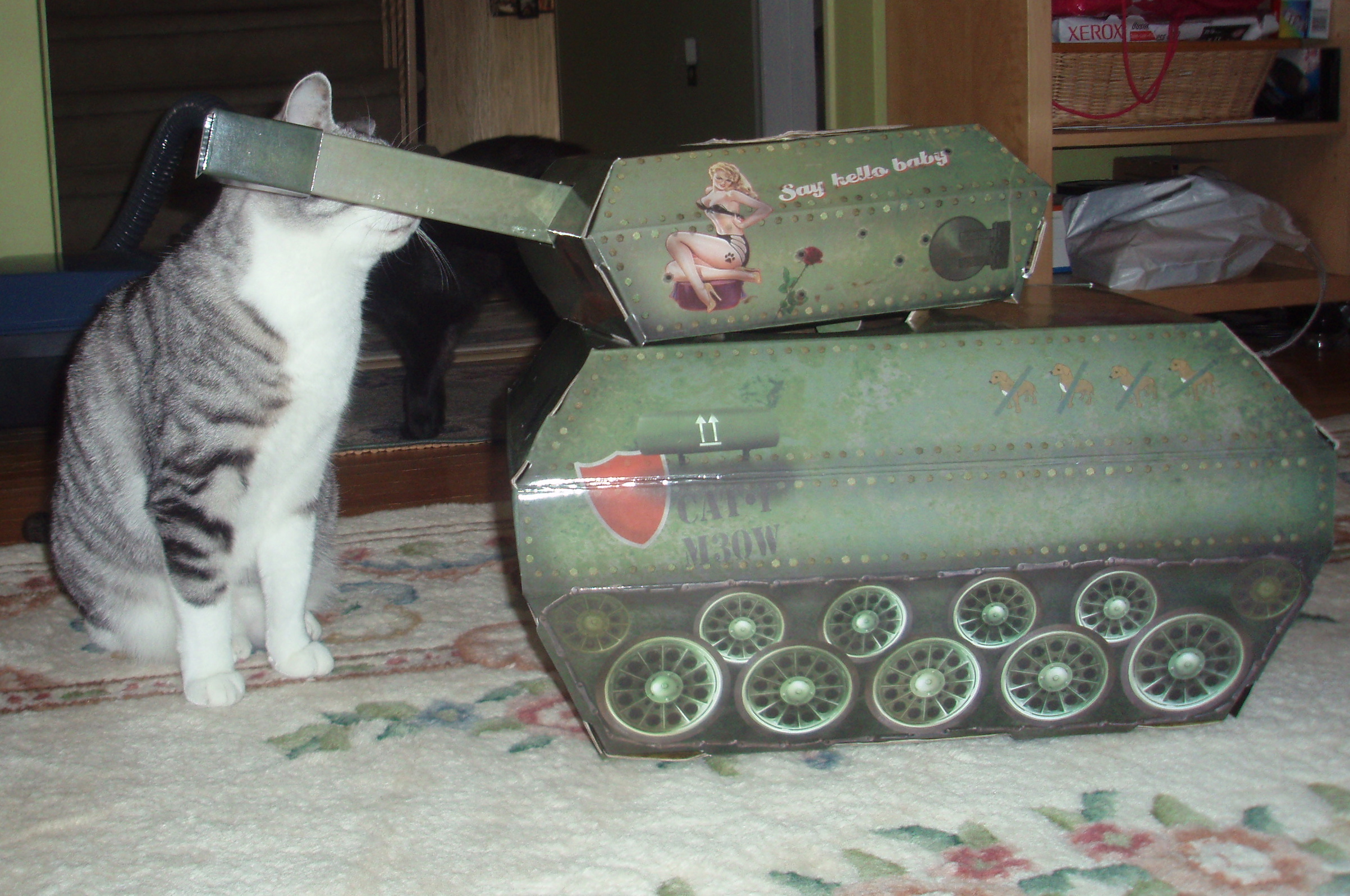 Cats, Boxes, Tanks