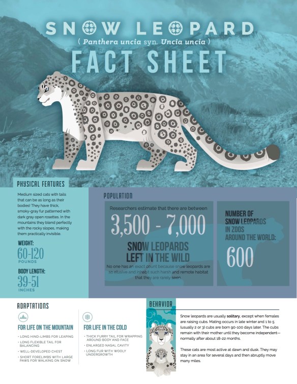 Snow Leopard Trust