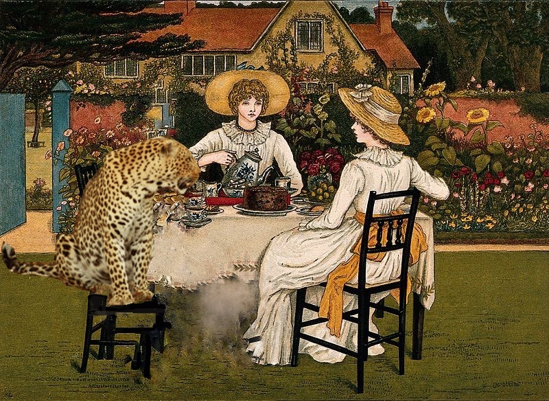 Tea-Time with Leopards